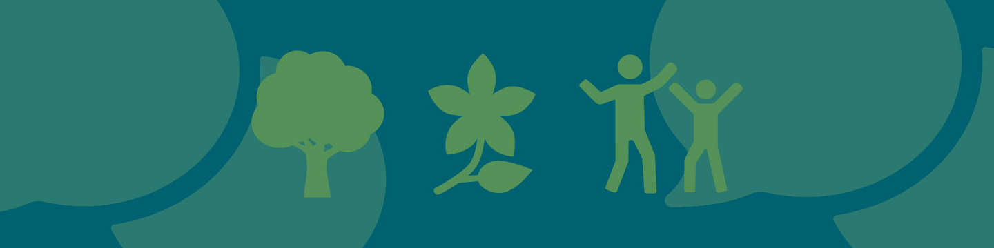 Project: Poole Park Access | BCP Council